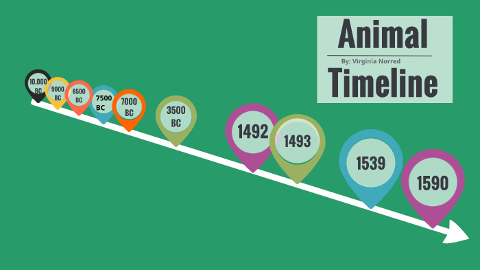 Animal Timeline by Virginia Norred on Prezi
