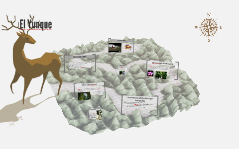 El Yunque by Jeff A on Prezi