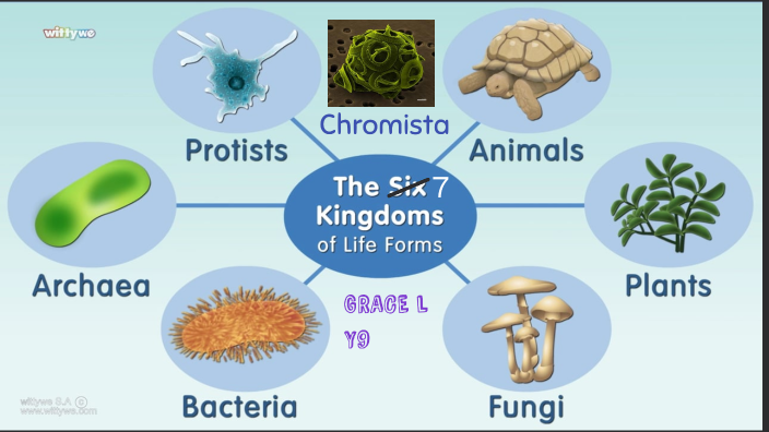 GRACE L. Y9 6 Kingdoms by Grace Naung on Prezi