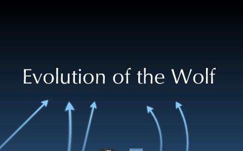 Evolution of The Wolf by David Ha on Prezi