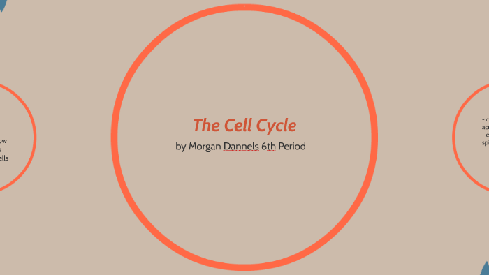 The Cell Cycle by Morgan Dannels on Prezi