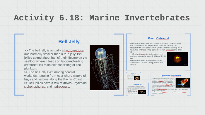 Activity 6.3: Marine Invertebrates by Tommi Christoff on Prezi