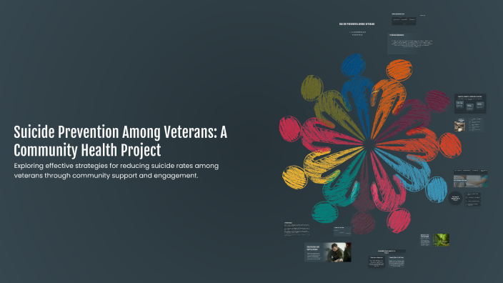 Suicide Prevention Among Veterans: A Community Health Project by Anna ...