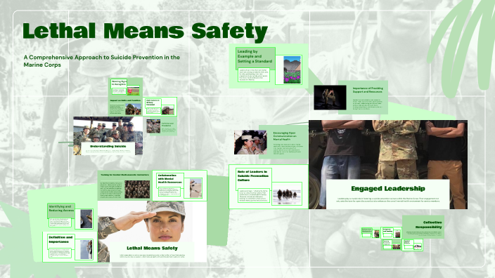 Lethal Means Safety by Dee on Prezi