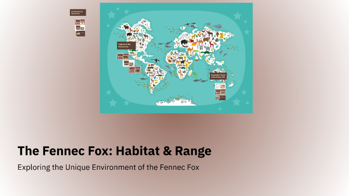 The Fennec Fox: Habitat & Range by Nayla Louis on Prezi