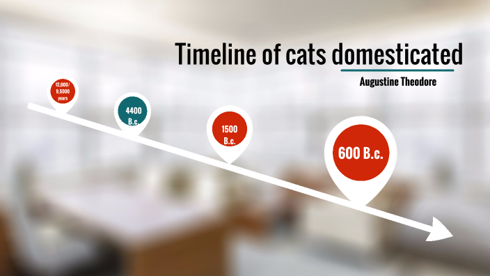 Timeline of domesticated cats by Augustine Theodore on Prezi
