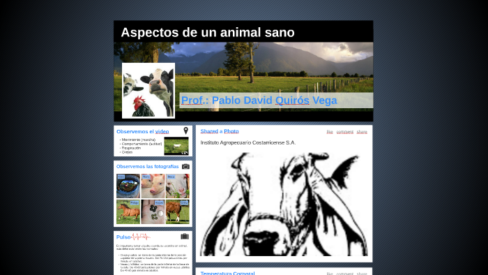 Aspectos de un animal sano by Ange CQ on Prezi