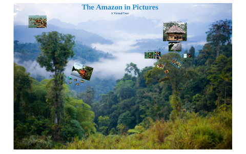 Virtual Tour of the Amazon Rainforest by Emily McCormick on Prezi