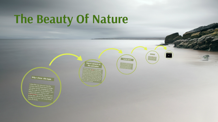 Senior Project by cole reichle