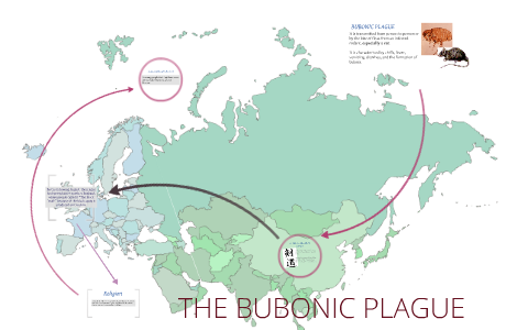 THE BUBONIC PLAGUE by Ariana Vasquez