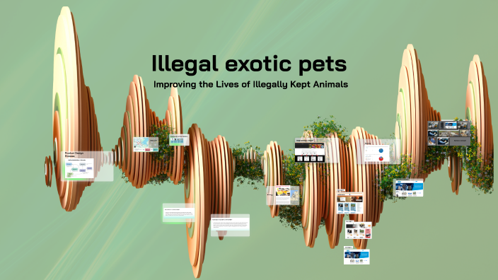 Designing for Illegal Pets by on Prezi
