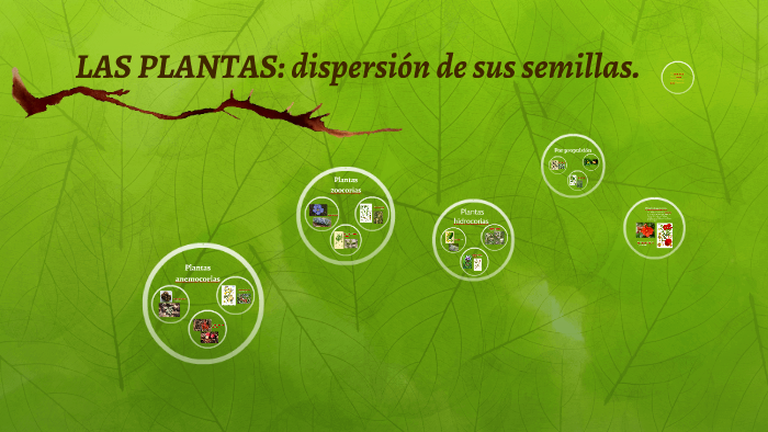 LAS PLANTAS: dispersión de sus semillas. by Mikel Mikelo on Prezi