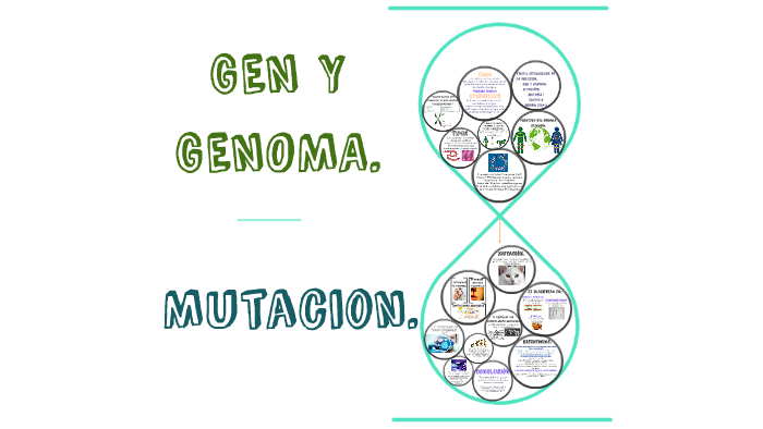 Concepto de gen y genoma by Ali Mendoza Ordaz on Prezi