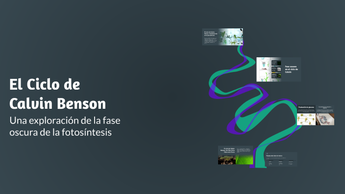 El Ciclo de Calvin Benson by Yetzel Nájera Chávez on Prezi