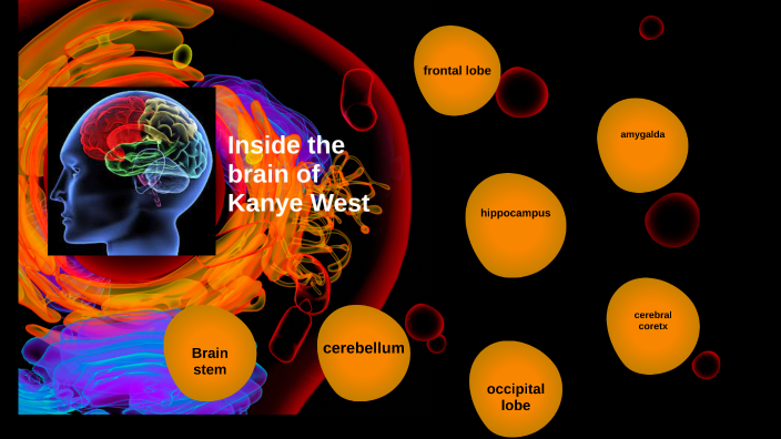 Kanye's brain by Camryn Glenn on Prezi