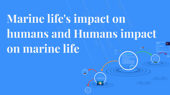 Marine life's impact on humans and Humans impact on marine l by Science ...