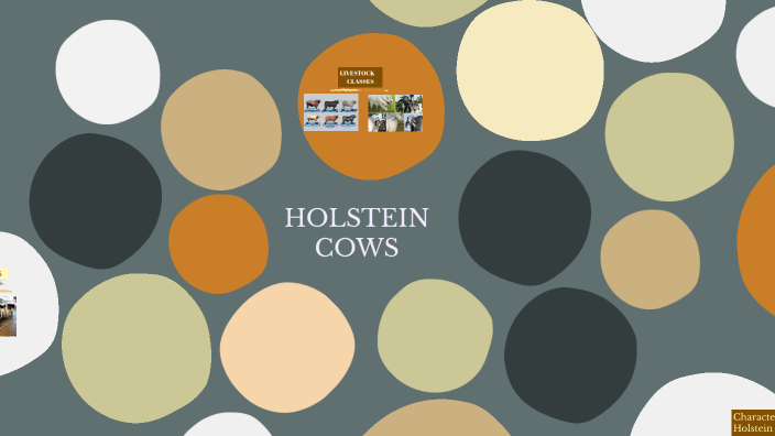 HOLSTEIN COWS by YANITZA MUÑOZ on Prezi