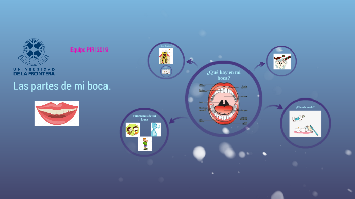 Las partes de mi boca. by Javiera Andrea Cárdenas Parra on Prezi