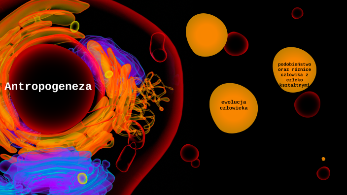 antropogeneza by Maksymilian Puzyr on Prezi