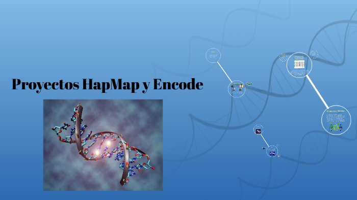 Proyectos HapMap y Encode by Paul Gallegos Gallegos Calva on Prezi