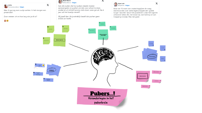 Pubers! Het puberbrein in ontwikkeling. by Raisy Timmerman on Prezi