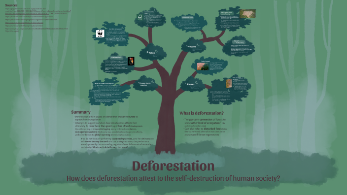 Deforestation by Erin Ching on Prezi