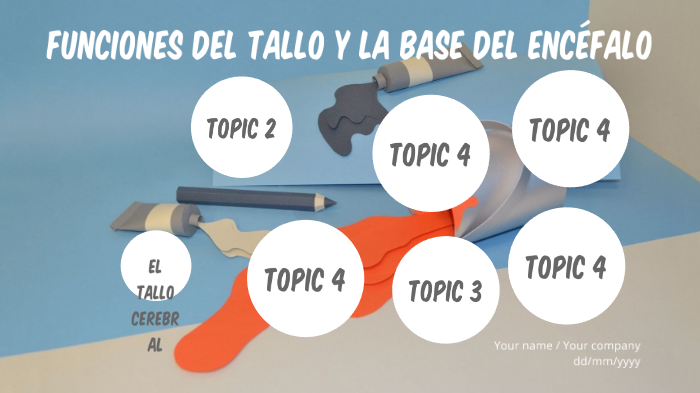 FUNCIONES DEL TALLO Y LA BASE DEL ENCÉFALO by ANA LAURA ORAN MOLINA on ...