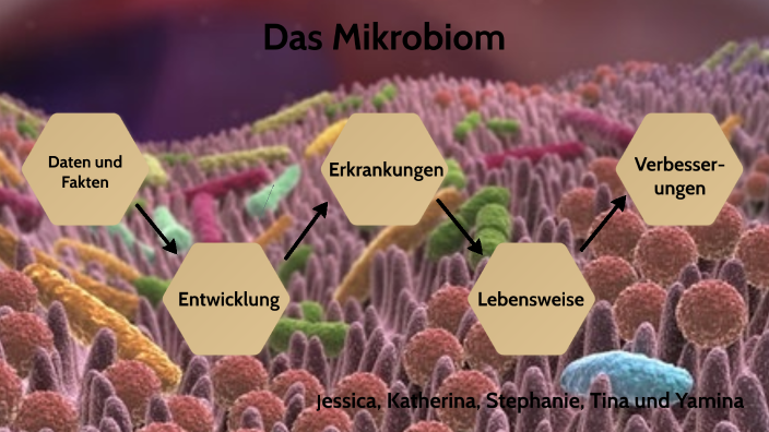 Das Mikrobiom by Tina Holzer on Prezi