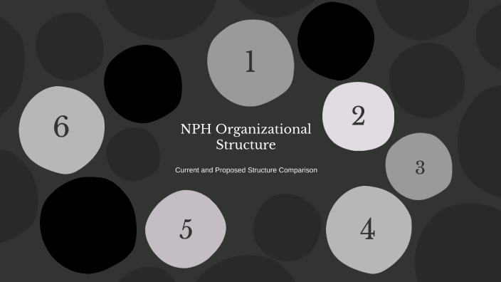 NPH Organizational Structure by Gerben de Koning Gans on Prezi