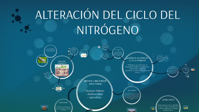 ALTERACIÓN DEL CICLO DEL NITRÓGENO by Maria Fernanda Ortiz on Prezi
