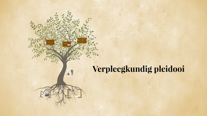 Verpleegkundig Pleidooi by Sandra van der Ark on Prezi