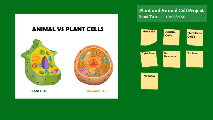 Plant and Animal Cell Project by Staci Turner on Prezi