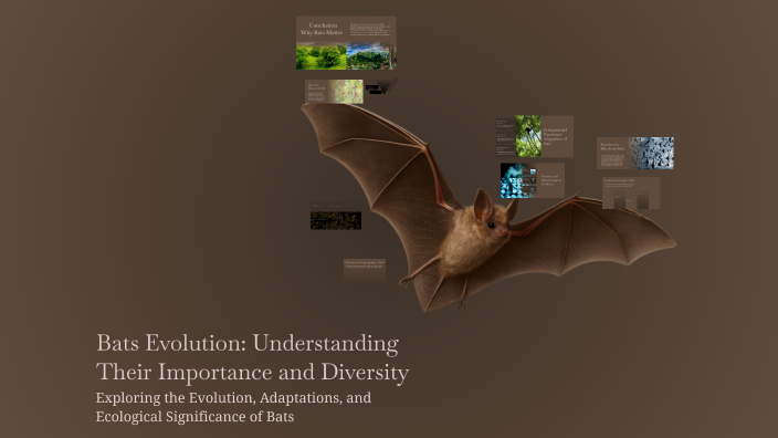 Bats Evolution: Understanding Their Importance and Diversity by Zain ...