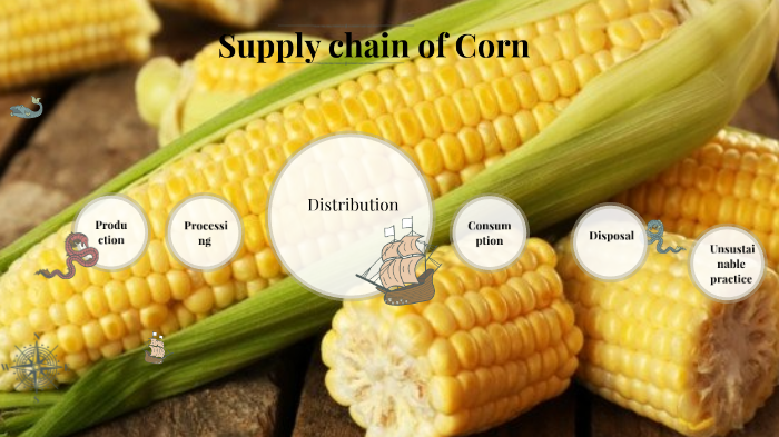 Supply chain of Corn by Steven Anri on Prezi
