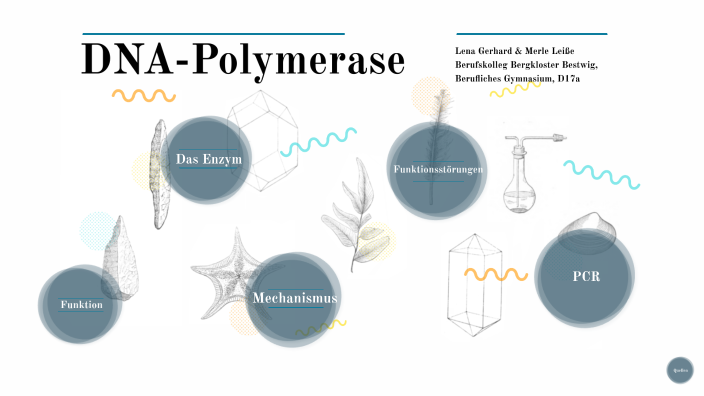 DNA-Polymerase by Lena G on Prezi