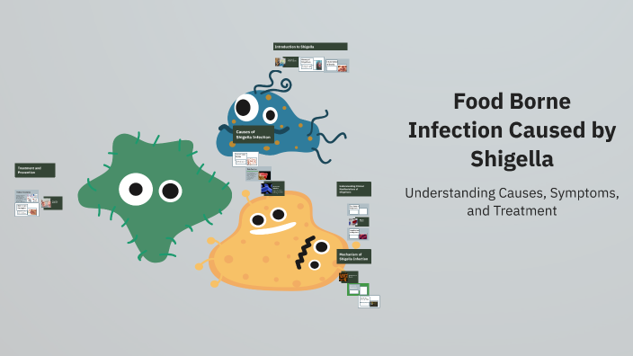 Food Borne Infection Caused by Shigella by smruti sikha on Prezi