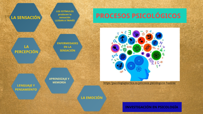 PROCESOS PSICOLÓGICOS BÁSICOS by Radames Murillo on Prezi
