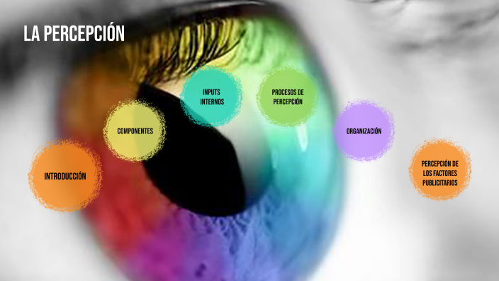 La percepción by heliana yandun on Prezi