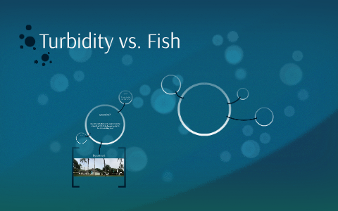 Turbidity vs. Fish by Amerlie Lam on Prezi