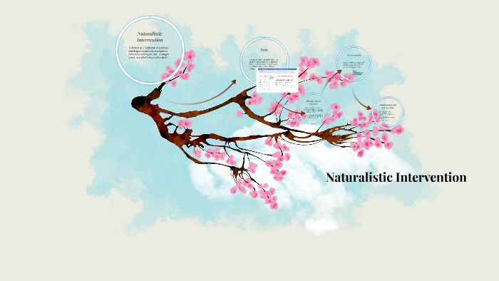 Naturalistic Intervention by Catherine Buccolo on Prezi