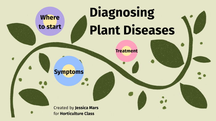 Diagnosing Plant Diseases By Jessica Mars