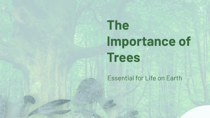 The Importance of Trees by reza chazani on Prezi