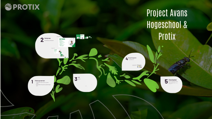 Visualizing Protix Project Outcome by Stijn B on Prezi