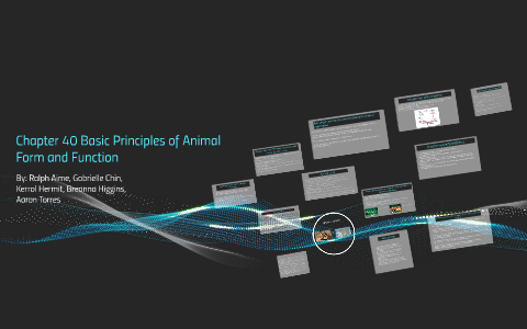 Chapter 40 Basic Principles of Animal Form and Function by Aaron Torres ...