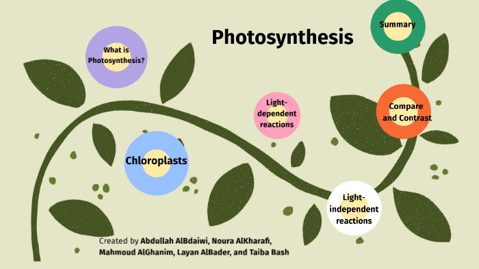 Biology Photosynthesis Prezi by Abdullah AlBdaiwi on Prezi