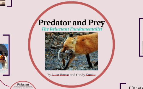 Prey And Predator Examples