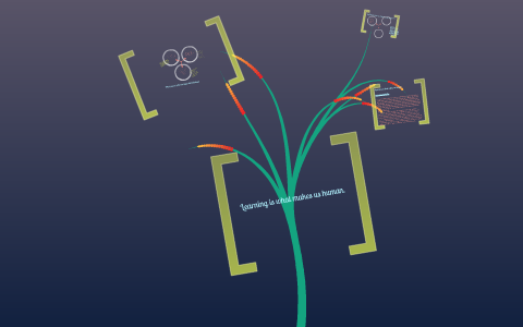 E-learning and Digital Cultures, artifact Petra Peeters by Petra ...