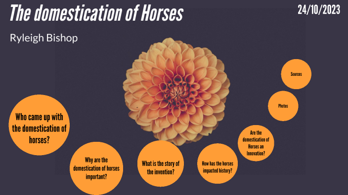 The domestication of horses by Ryleigh Bishop on Prezi