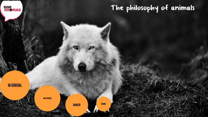 The philosophy of animals by Freddy Vega on Prezi