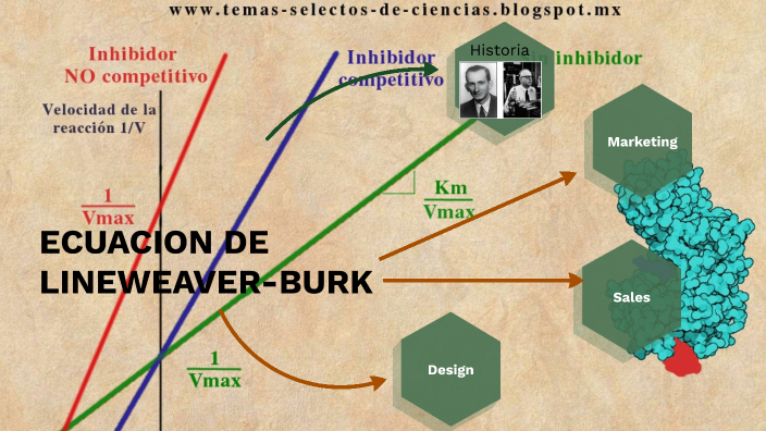 ECUACION DE LINEWEAVER-BURK by Yesica Bustamante on Prezi